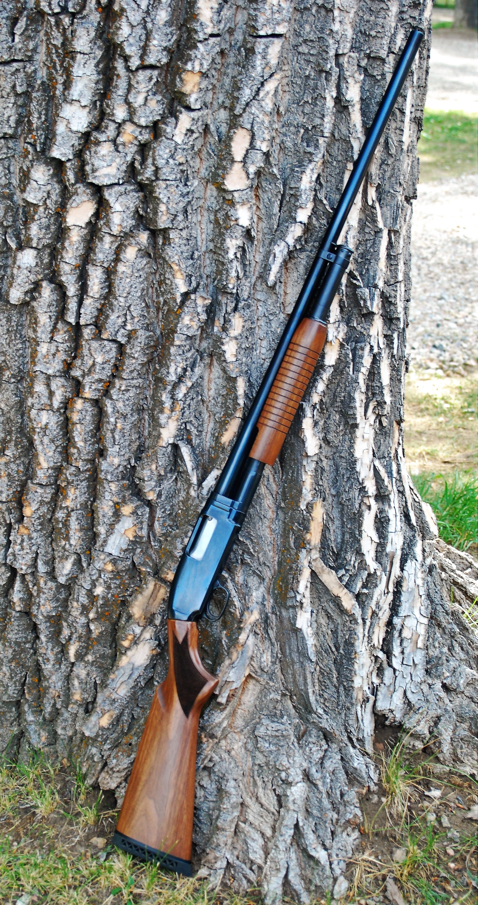 The Winchester Model 12: The Perfect Repeater | Boyds Hardwood Gunstocks